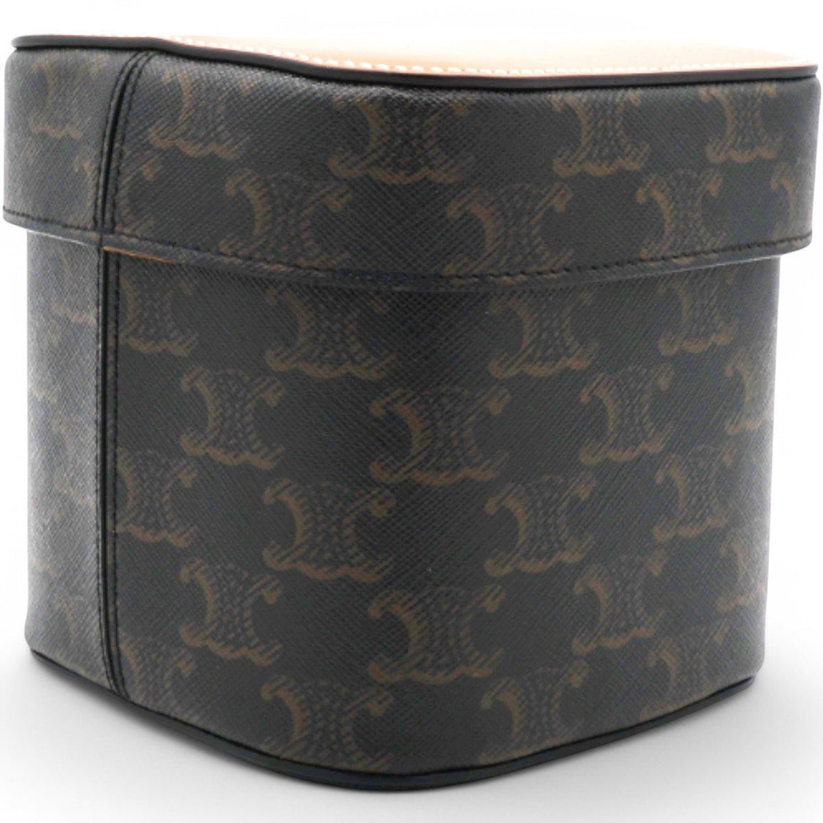 CÉLINE Medium Box In Triomphe Canvas – STYLISHTOP